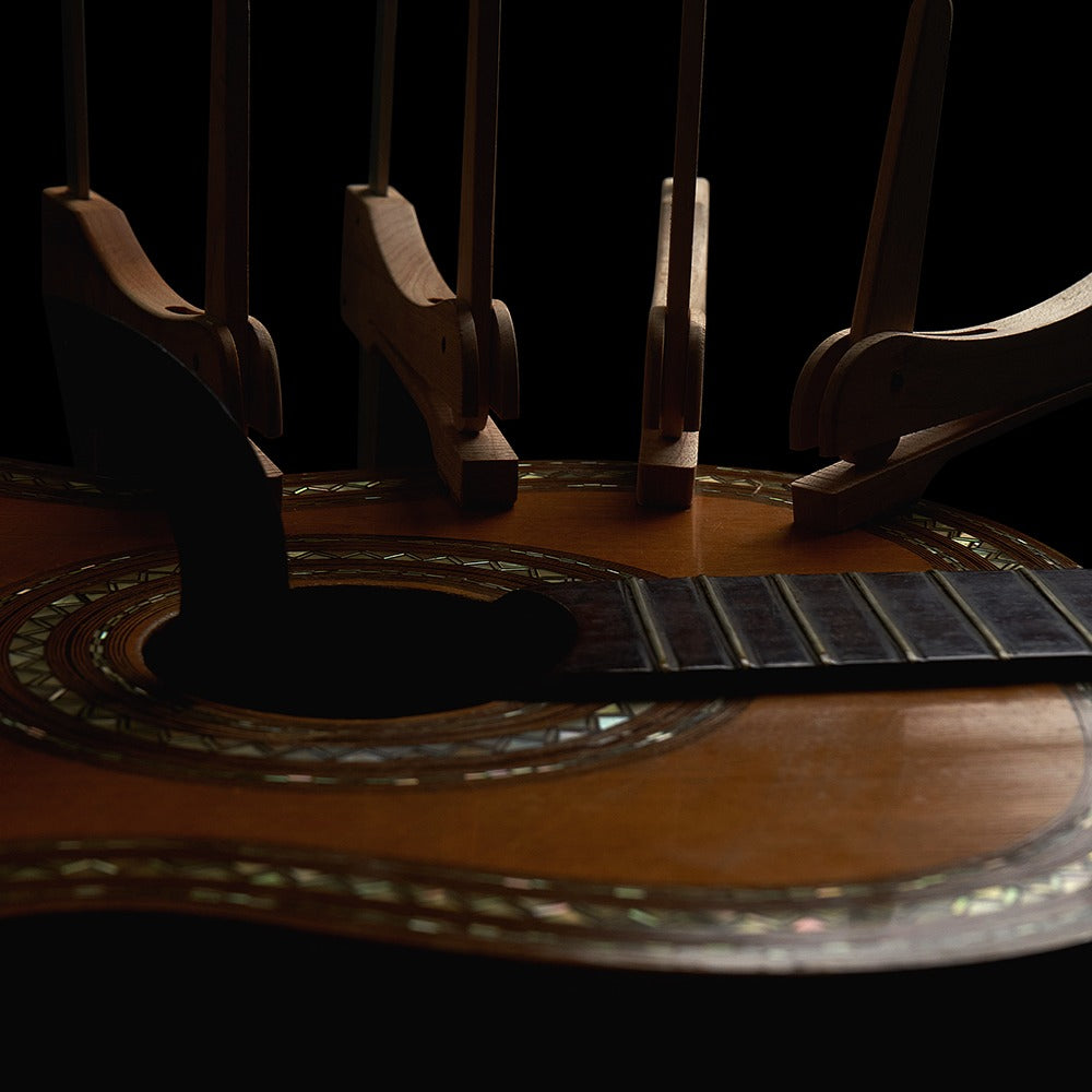 Vintage Guitar Chile